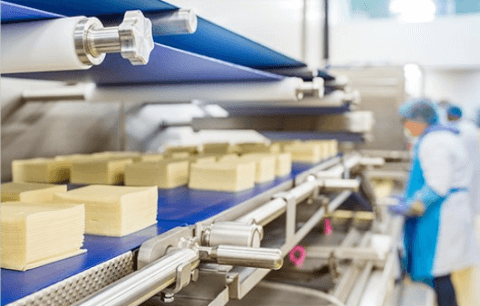 Flanders Food Productions